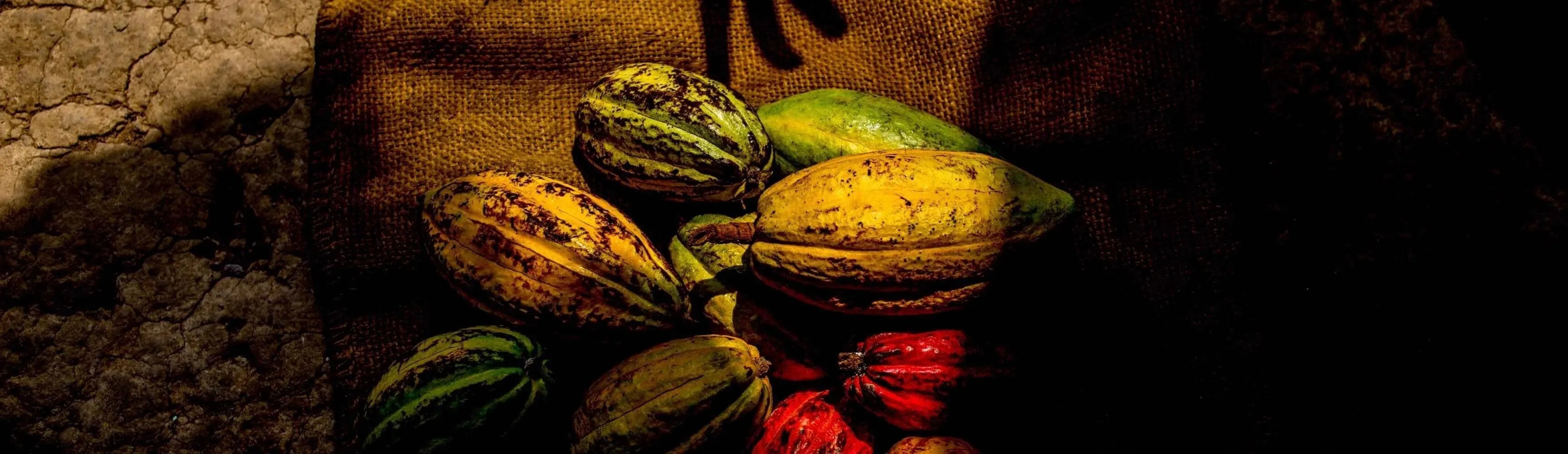 All Our Products – Marou Chocolate Europe